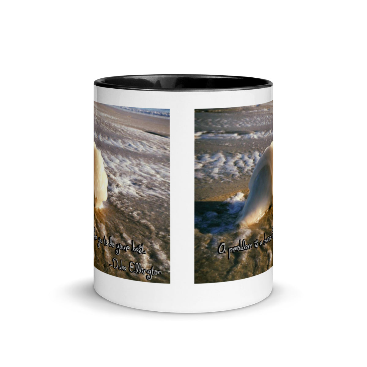 Frozen Conch Shell Mug with Color Inside – saltwaterdreamworks