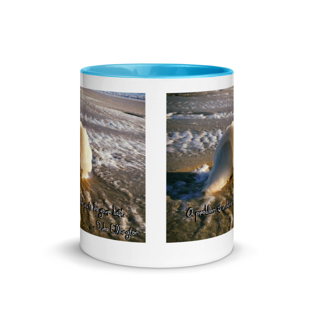 Frozen Conch Shell Mug with Color Inside – saltwaterdreamworks